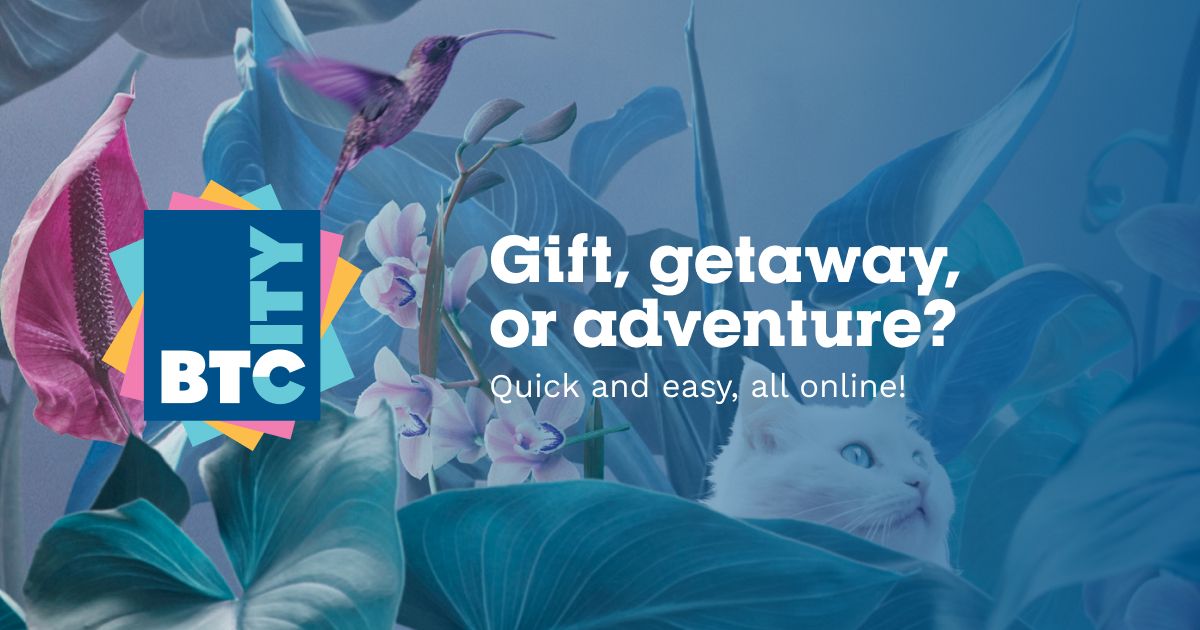 BTC City - Gift, getaway, or adventure?